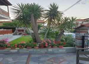 Nea Roda, Plaže, Utisci, Provod, Noćni život, Cene, Grčka leto,