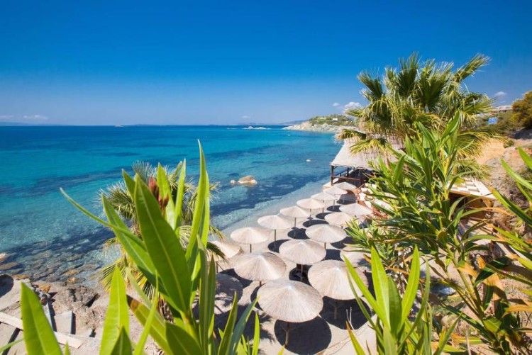 Hotel Alexander Beach, Anavisos, Peloponez 2026, Grčka